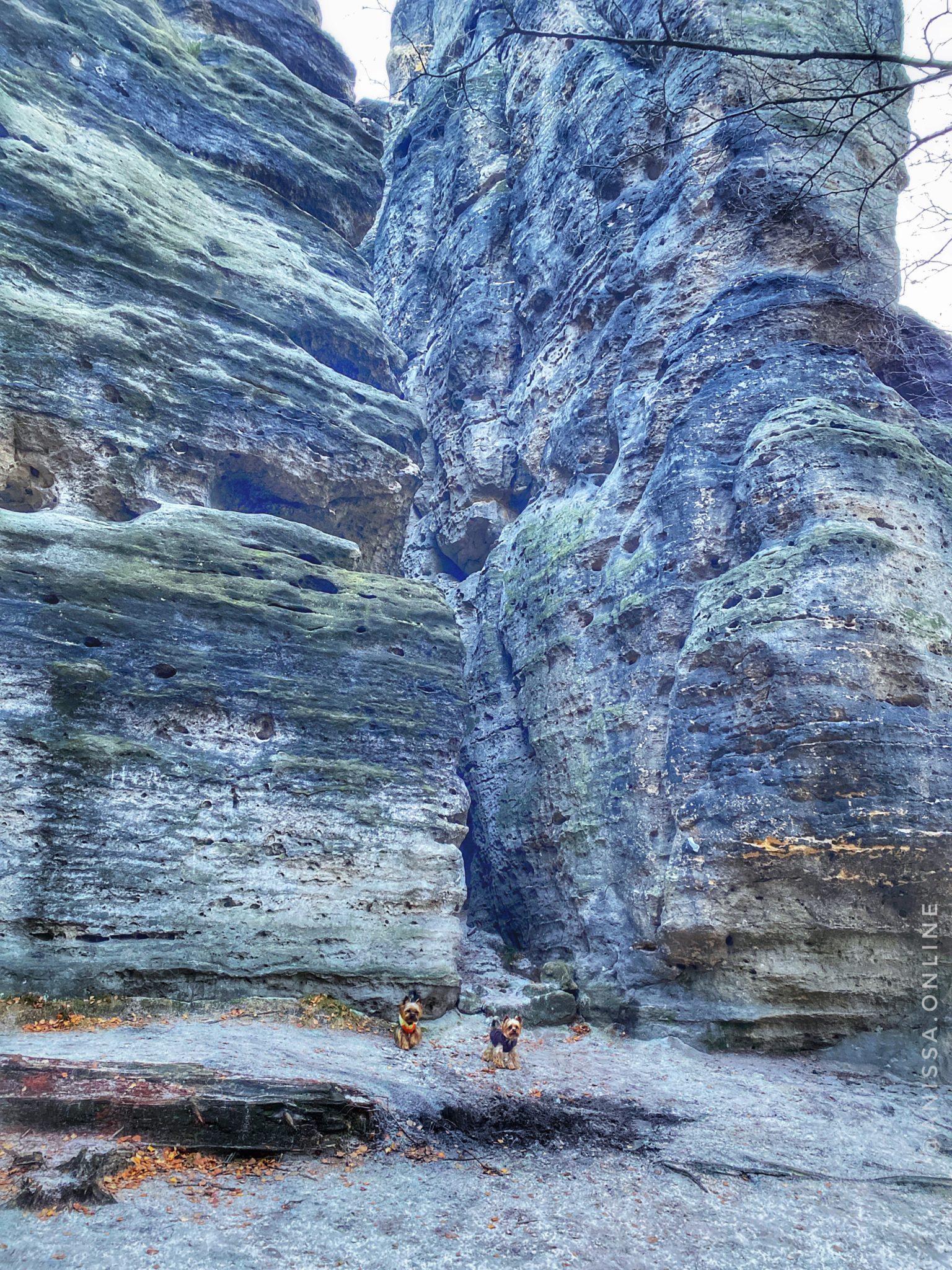 📍Rocks From The Chronicles of Narnia Trail Map – Tisa Walls – Rajec ...